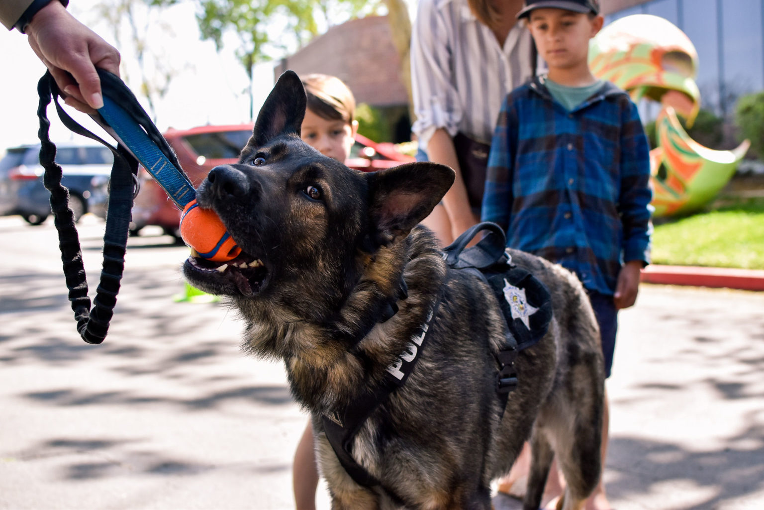 Dogs With Jobs | Sacramento Children's Museum