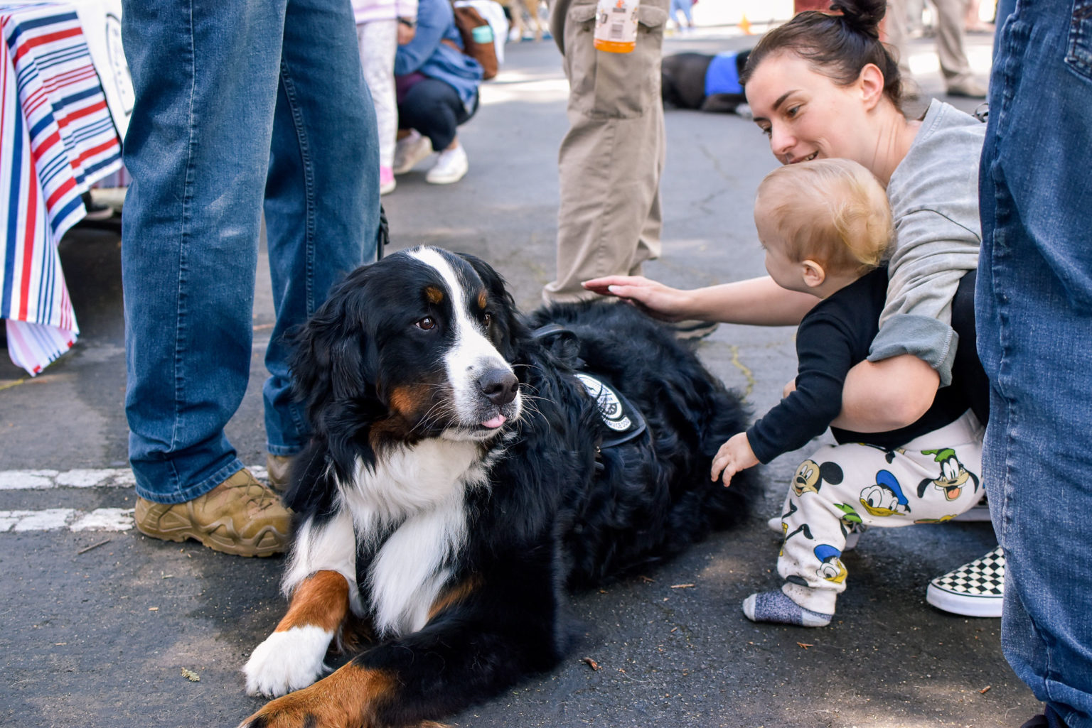 Dogs With Jobs | Sacramento Children's Museum